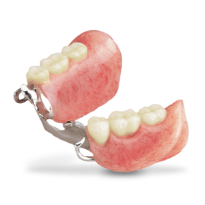 Combination Partial Denture — Metal And Flexi | Dental Clinic Seaford